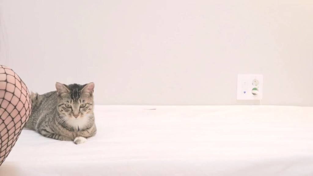 BJ김뇨뇨-bblove17-20231112 - thebjav