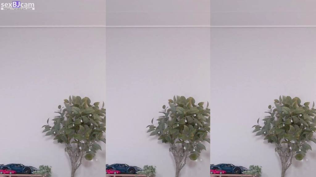 BJ꾸삐삐-dmsdms1247-20240115 - thebjav